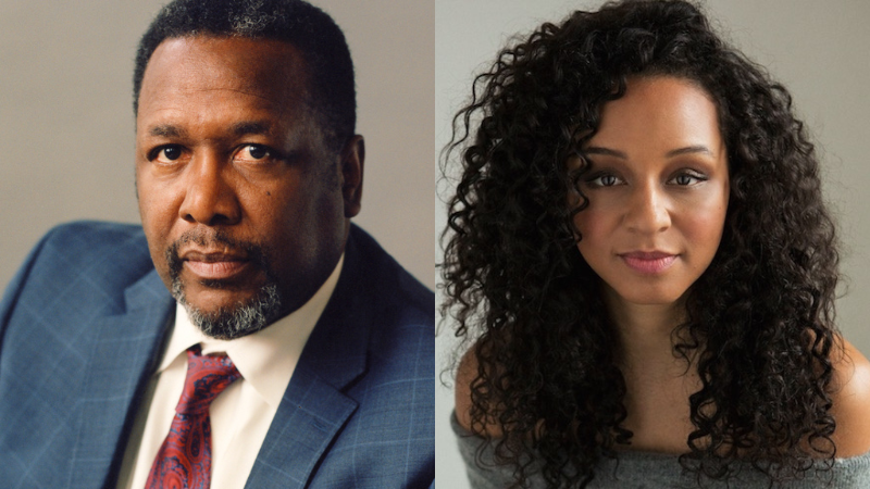 CBS Gives Series Order For Elsbeth -- Wendell Pierce, Carra Patterson ...
